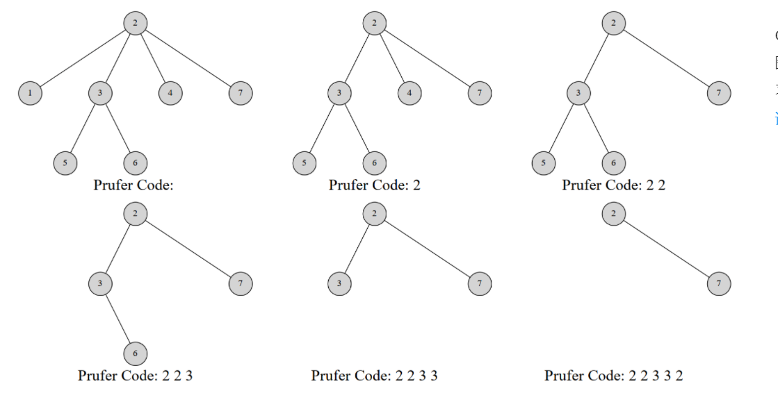 Prufer编码_prufer code-CSDN博客