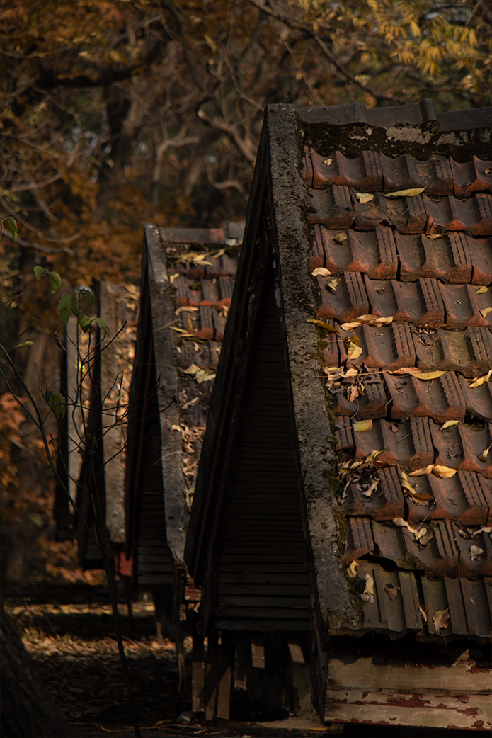 homepage [suikasibyl.github.io]